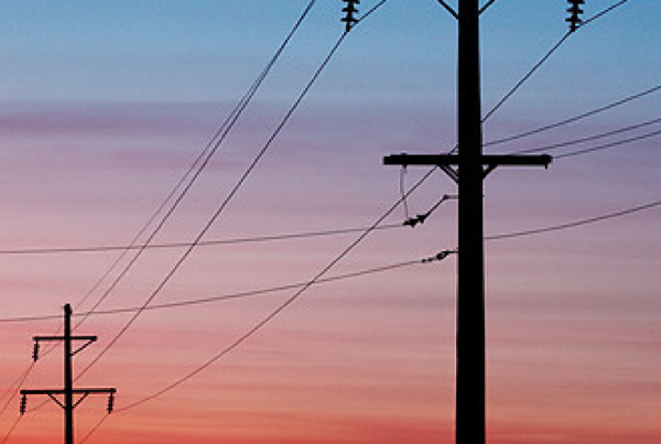 Bird Electric - Electric Distribution & Transmission Offerings
