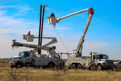 Bird Electric - Electric Distribution & Transmission Offerings